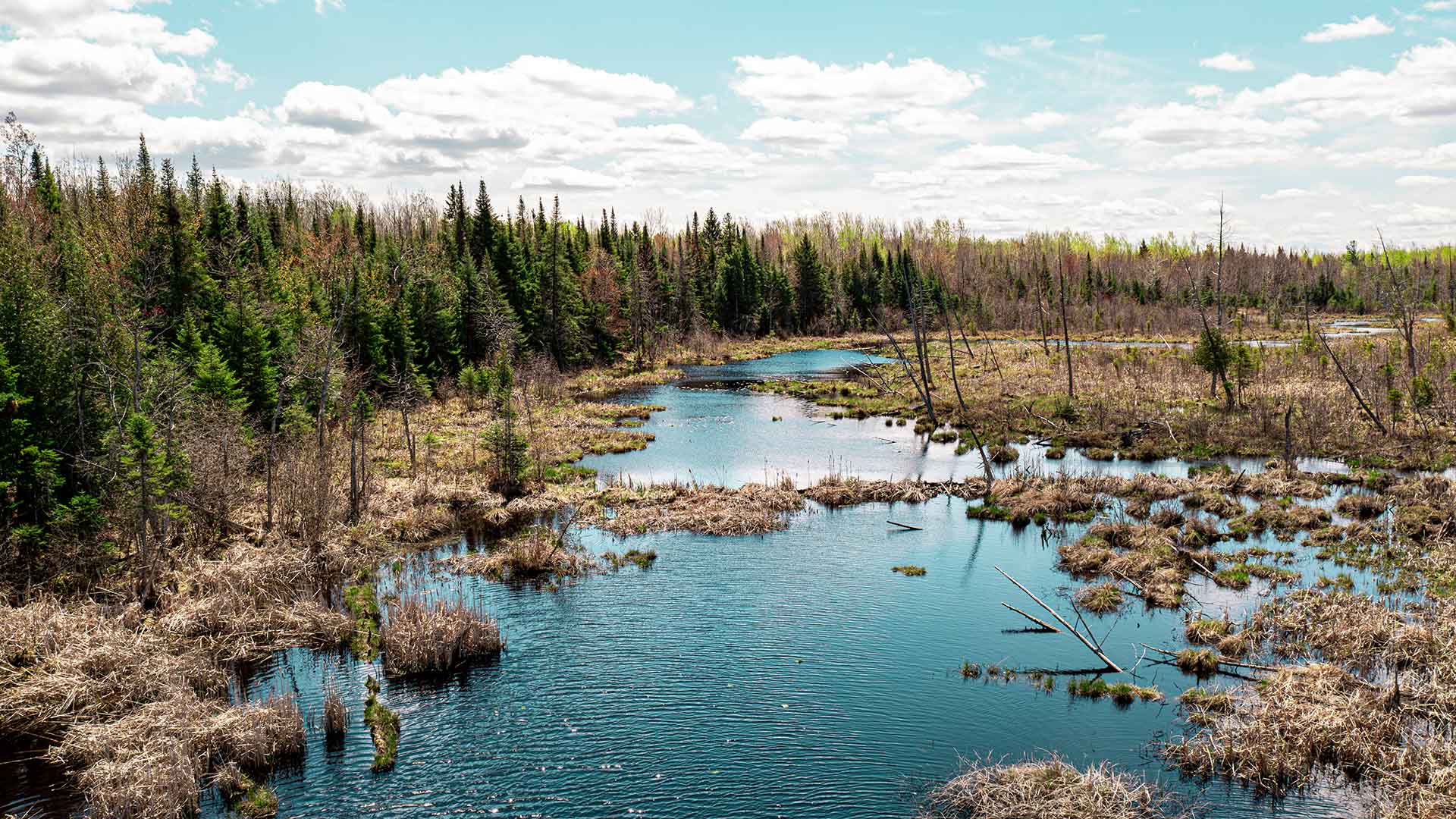 Lead Creation that Converts